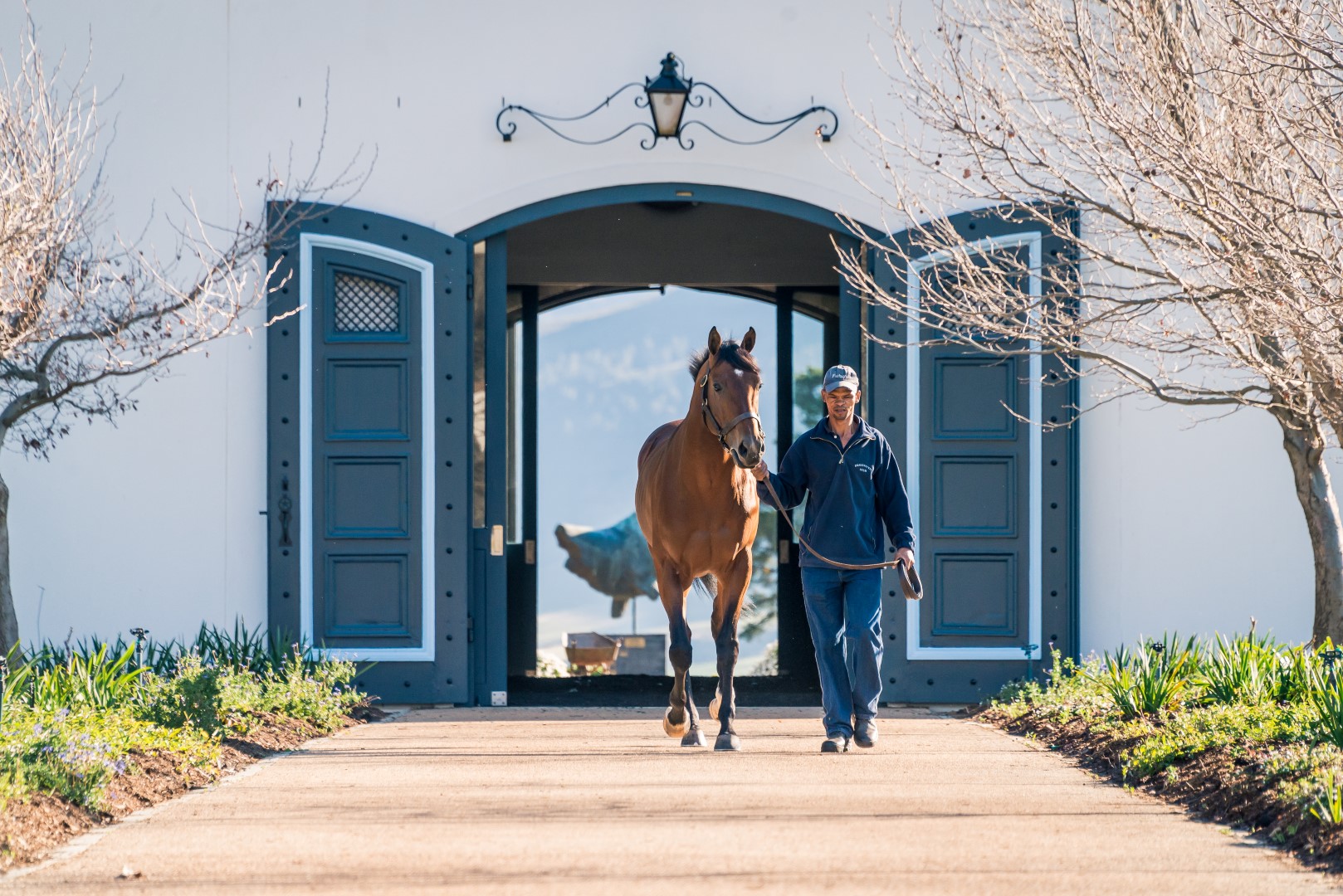 Drakenstein Stud Farm | 3RD FIRST CROP WINNER FOR GOLD STANDARD