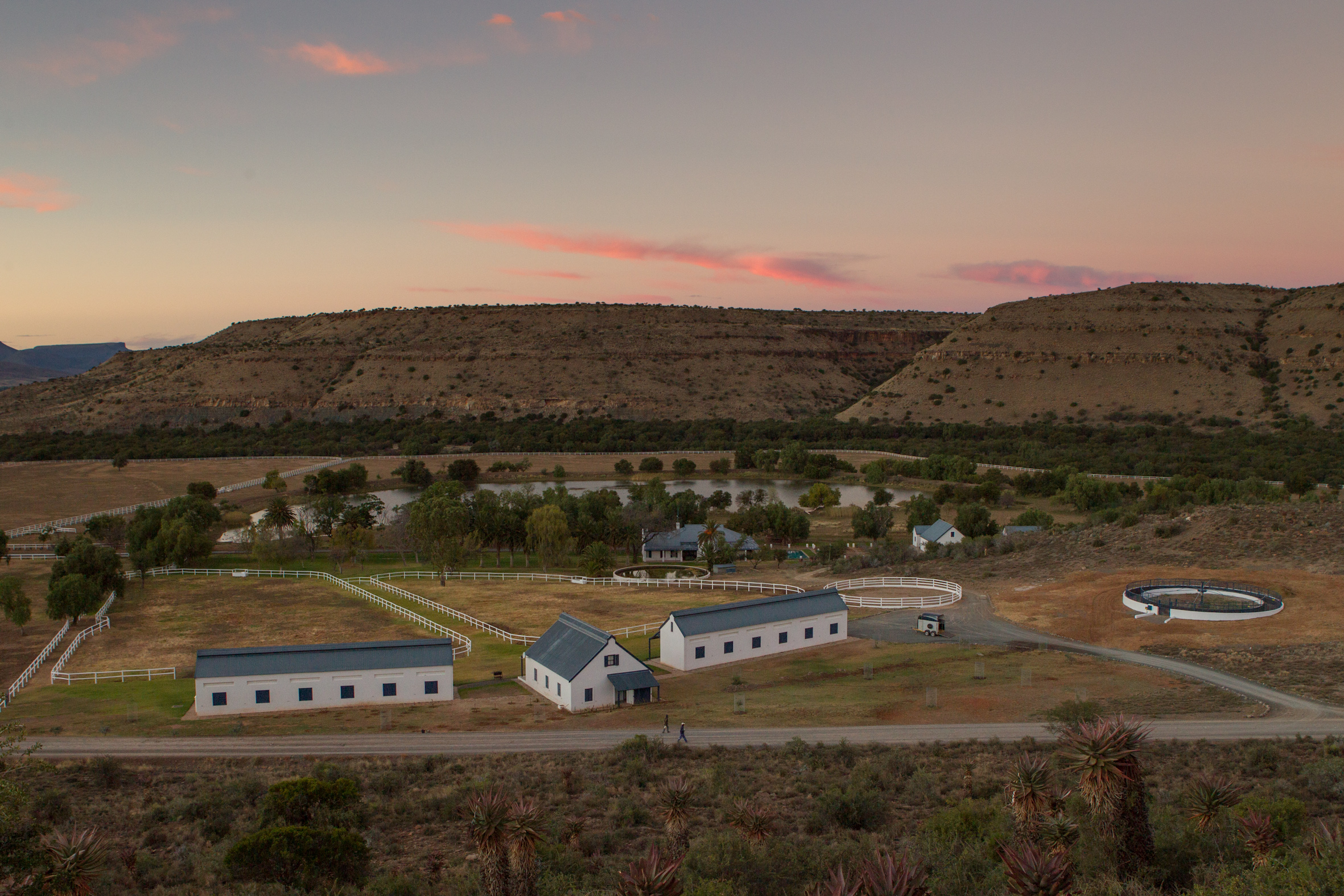 Drakenstein Stud Farm | Camdeboo