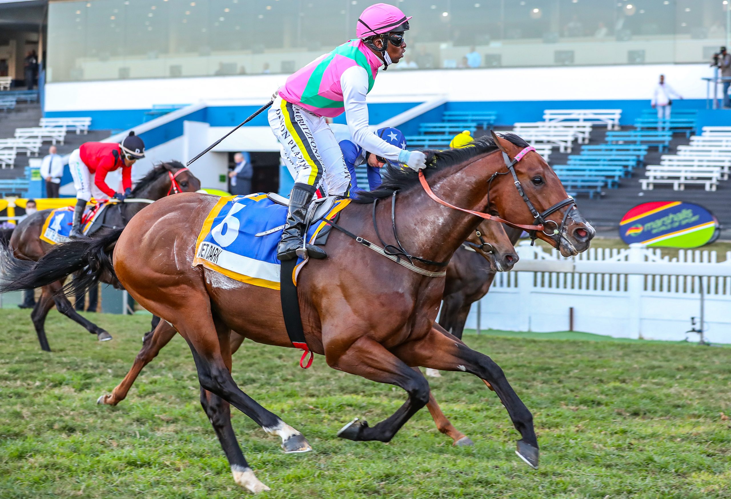 Drakenstein Stud Farm | TRIPPI COLT LANDS CHAMPIONS CUP