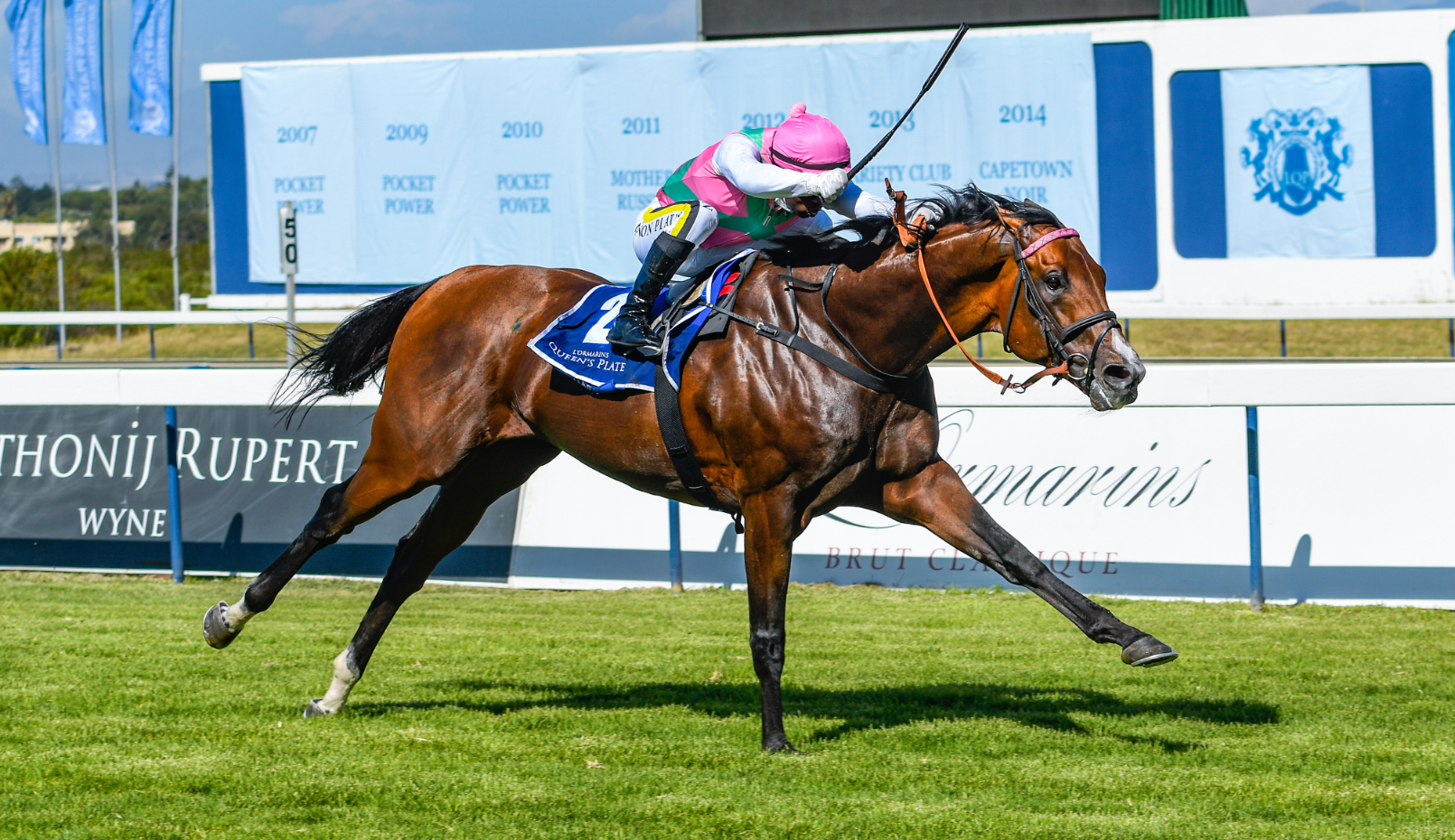 Drakenstein Stud Farm | TRIPPI COLT DEFENDS LQP TITLE