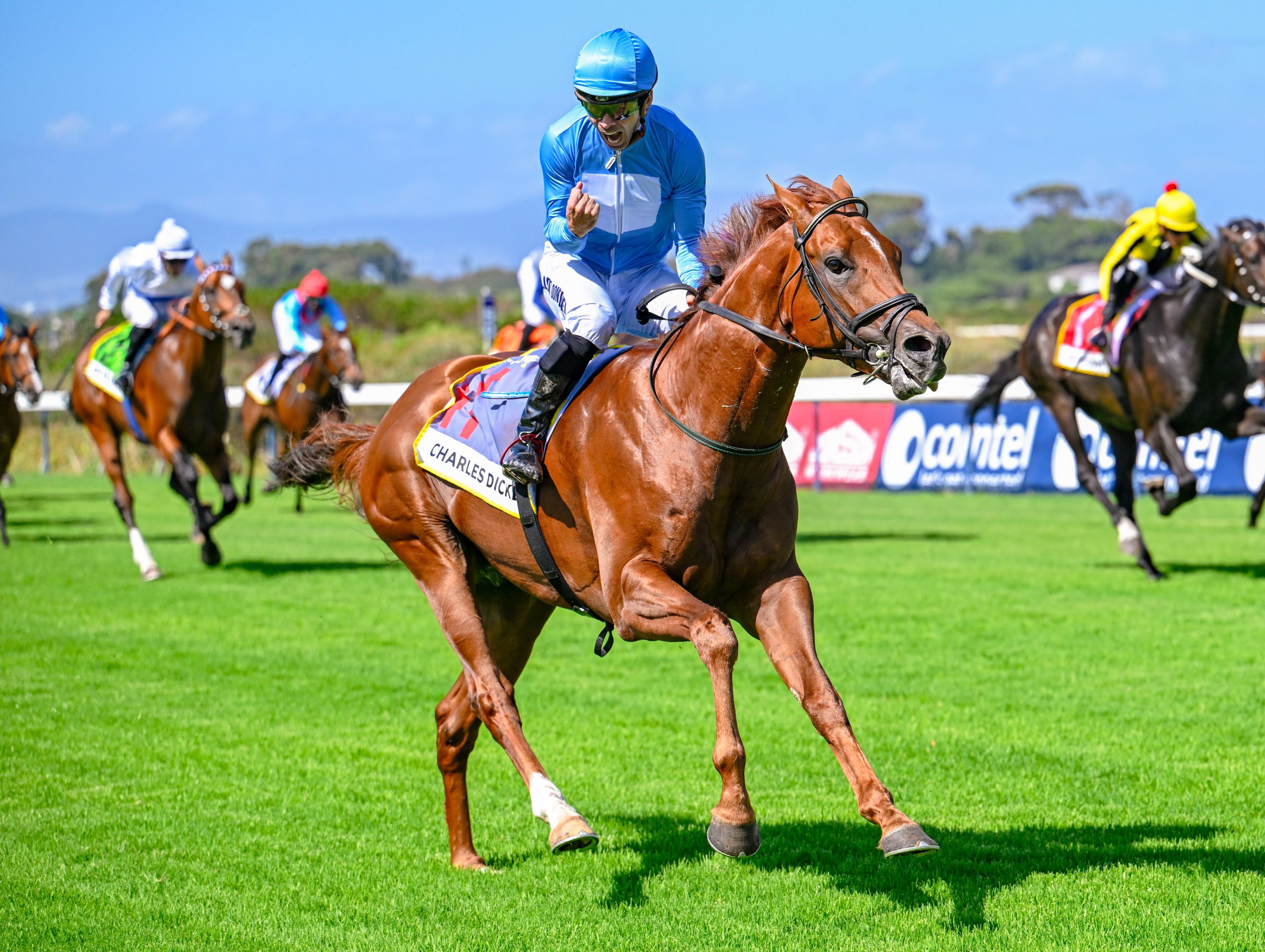 Drakenstein Stud Farm | TRIPPI COLT DAZZELS IN THE CAPE GUINEAS