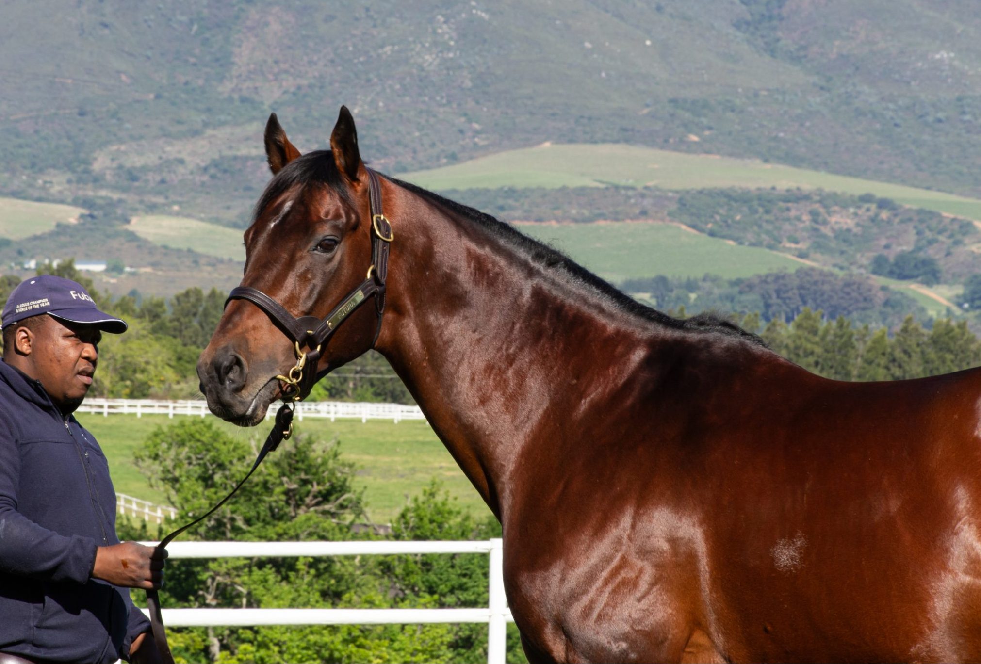Drakenstein Stud Farm | BREEDERS CHAMPIONS CUP SUCCESS FOR FUTURA
