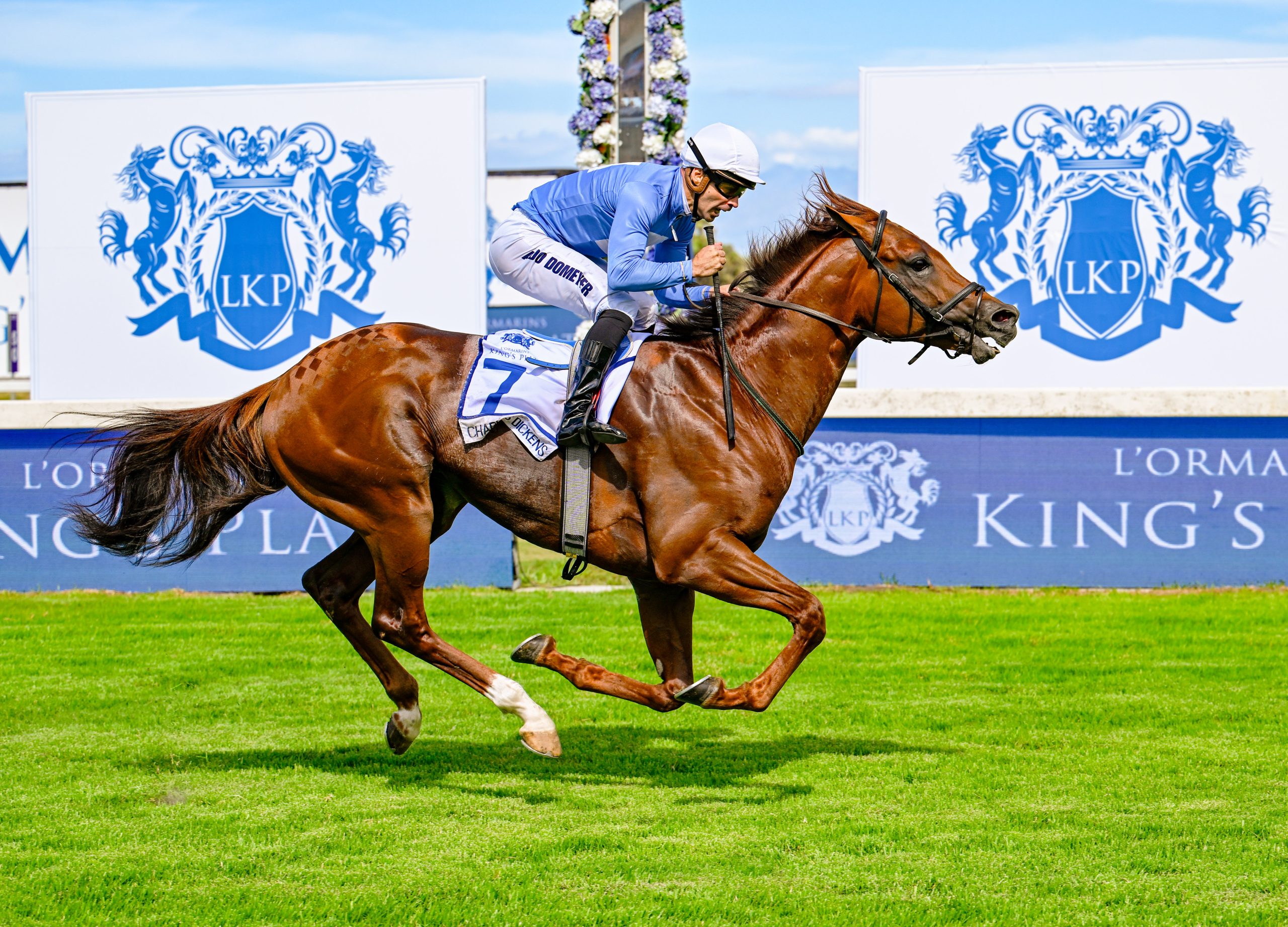 Drakenstein Stud Farm | DRAKENSTEIN SHINE AT EQUUS AWARDS