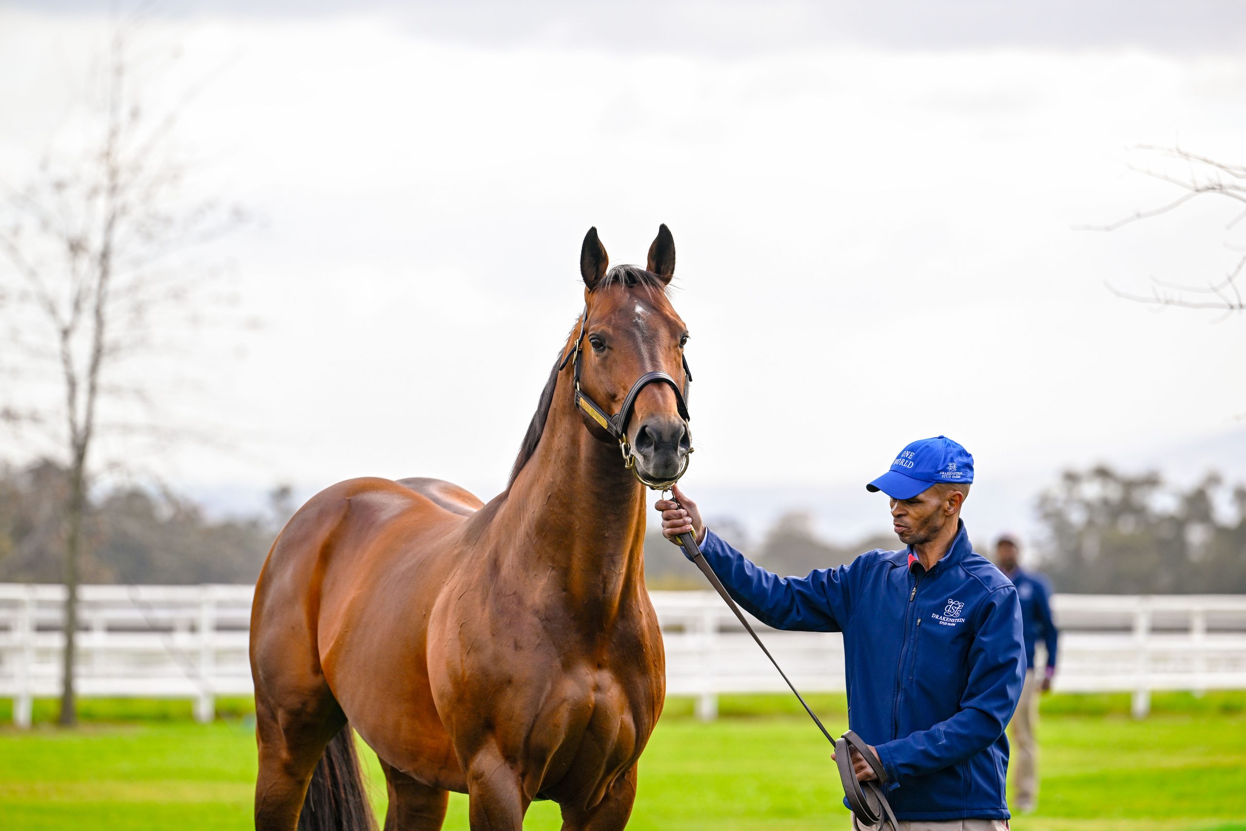 Drakenstein Stud Farm | ONE WORLD COLT LANDS L’ORMARINS KING’S PLATE